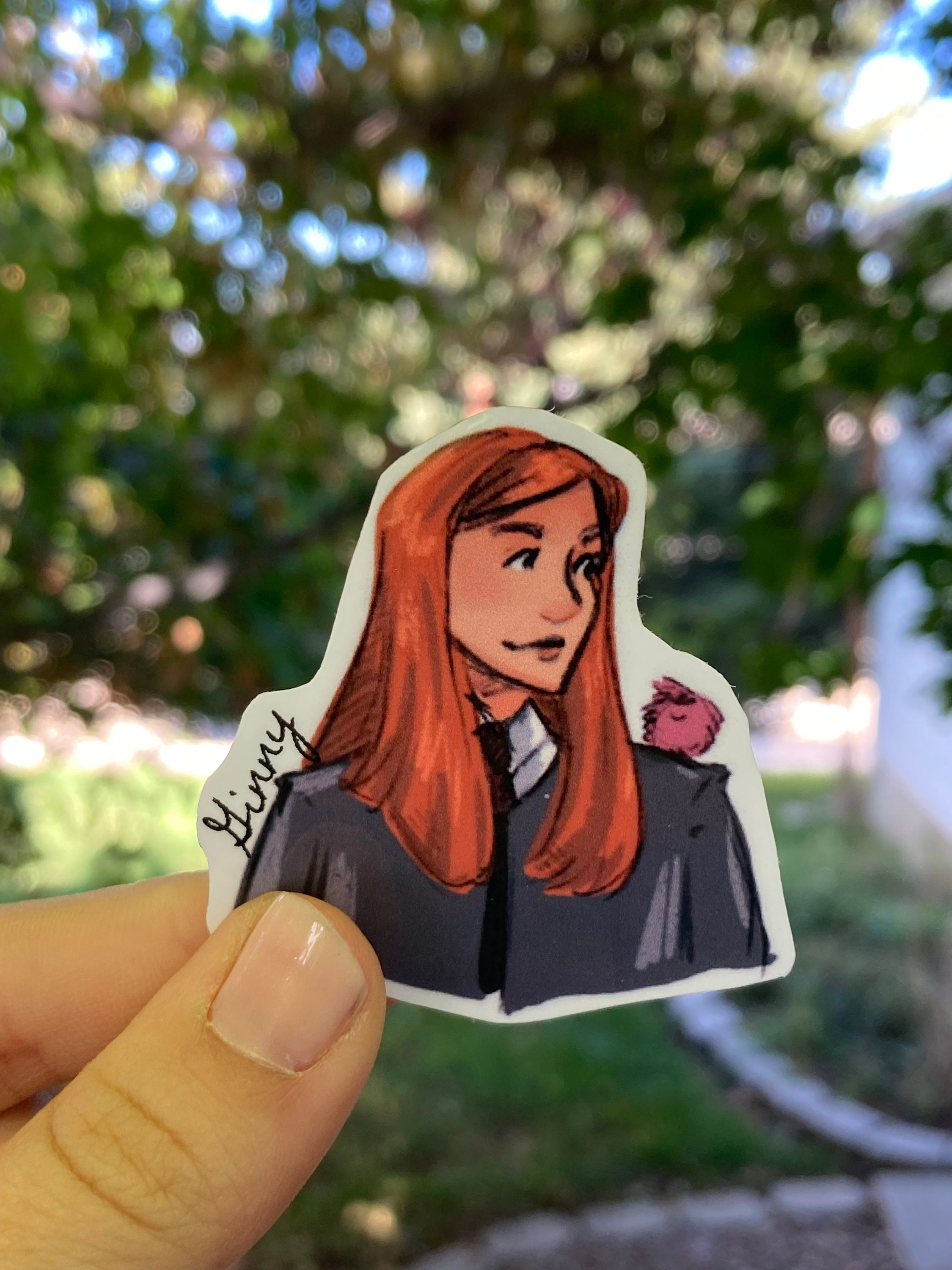 Harry Potter, Hermione, Ron, and Ginny Weasley With Their Pets Stickers ...