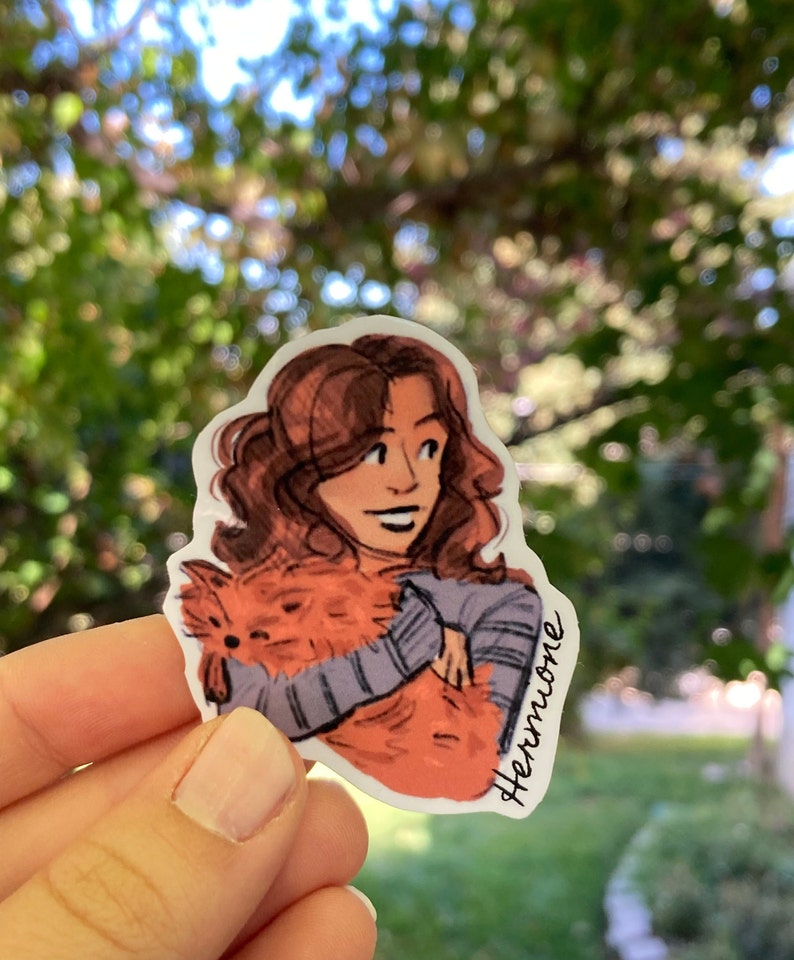 Harry Potter, Hermione, Ron, and Ginny Weasley With Their Pets Stickers ...