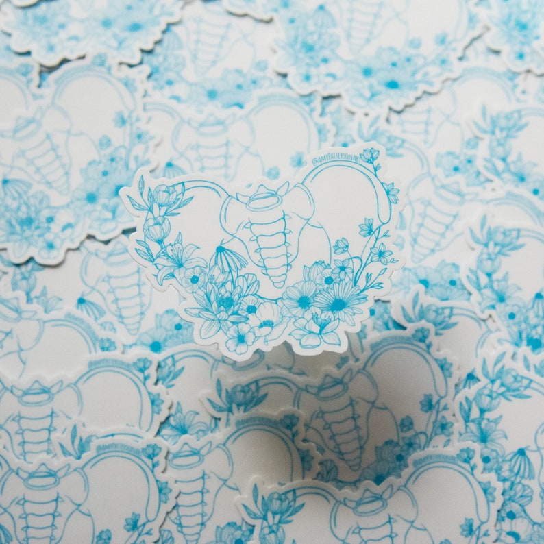 Floral Pelvis Sticker - Etsy