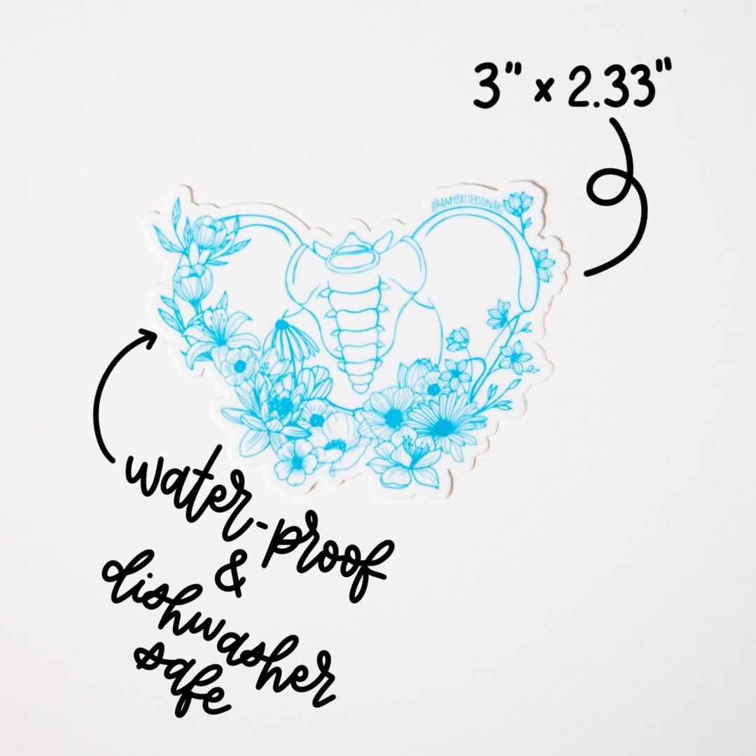 Floral Pelvis Sticker - Etsy