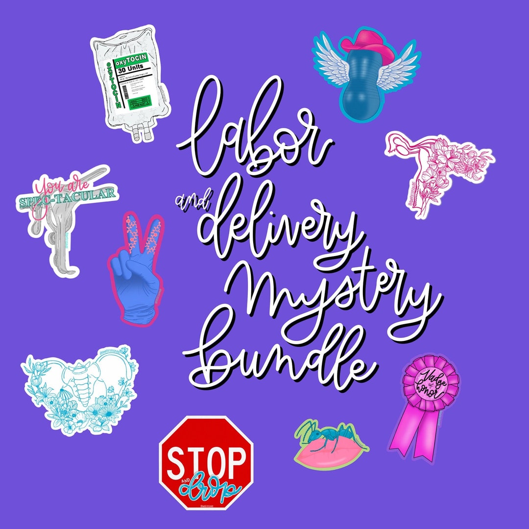 Labor & Delivery Mystery Sticker Bundle - Etsy