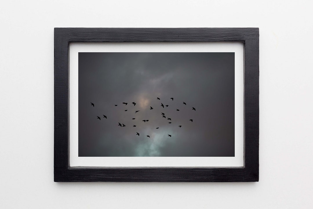 Flying Birds, Digital Prints, Digital Photography, Wall Art - Etsy
