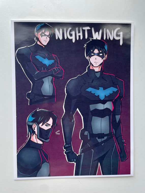 Young Justice Nightwing Logo Young Justice S2 Nightwing Cosplay