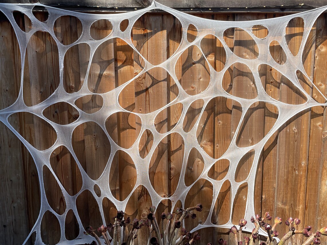 Halloween Beef Netting Spiderweb - Etsy