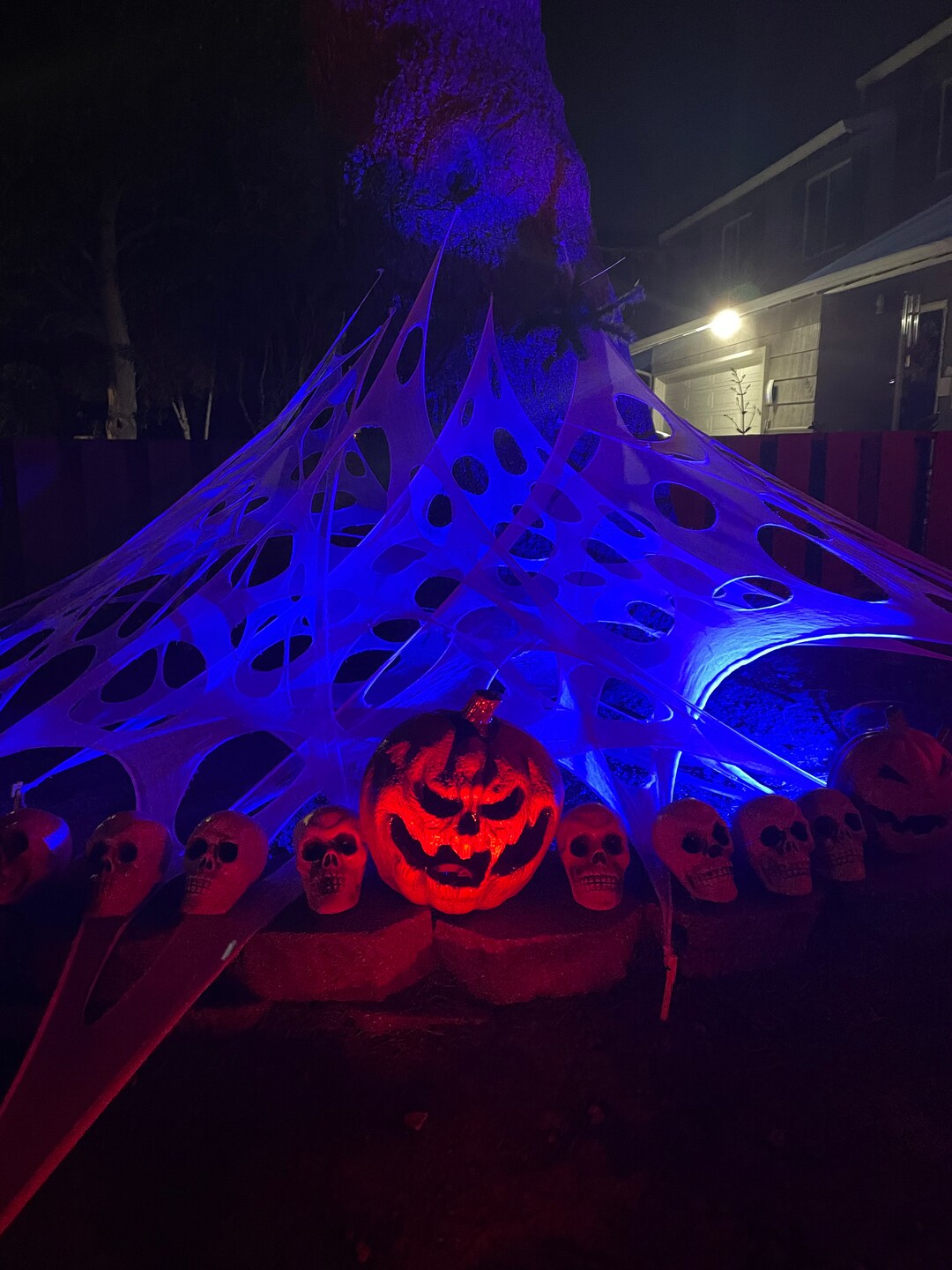 Halloween Beef Netting Spiderweb - Etsy