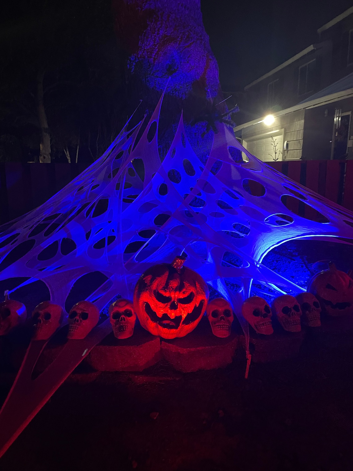 Halloween Beef Netting Spiderweb - Etsy