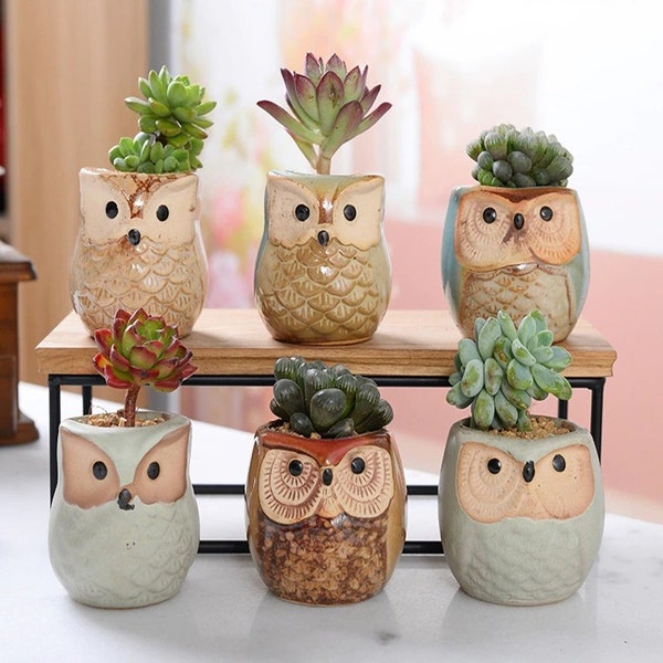 Owl Flower Pot - Etsy