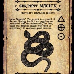 Venomous Snake Fangs-witchcraft Snake-voodoo-curse-hex - Etsy