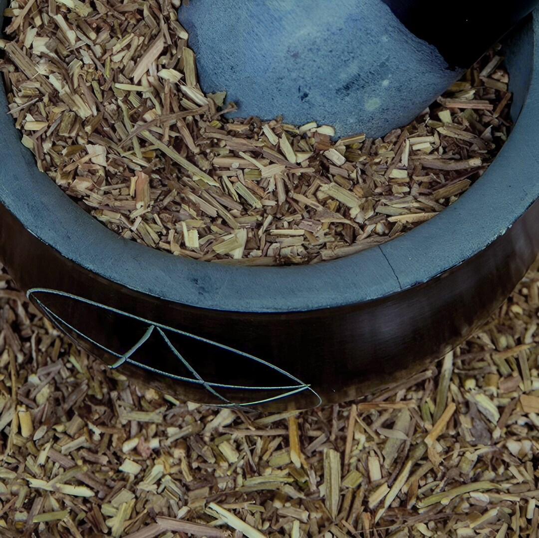 Vervain Dry Herb - Etsy