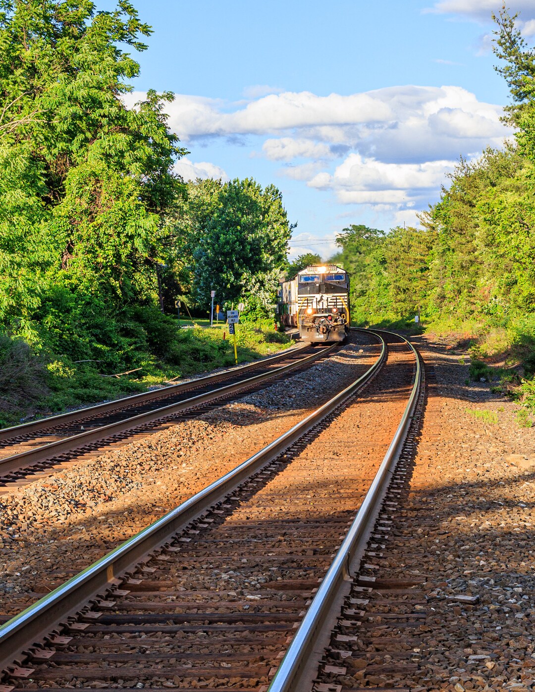 Train - Railroad - Locomotive - Railroad Tracks - Railroad Art - Train ...