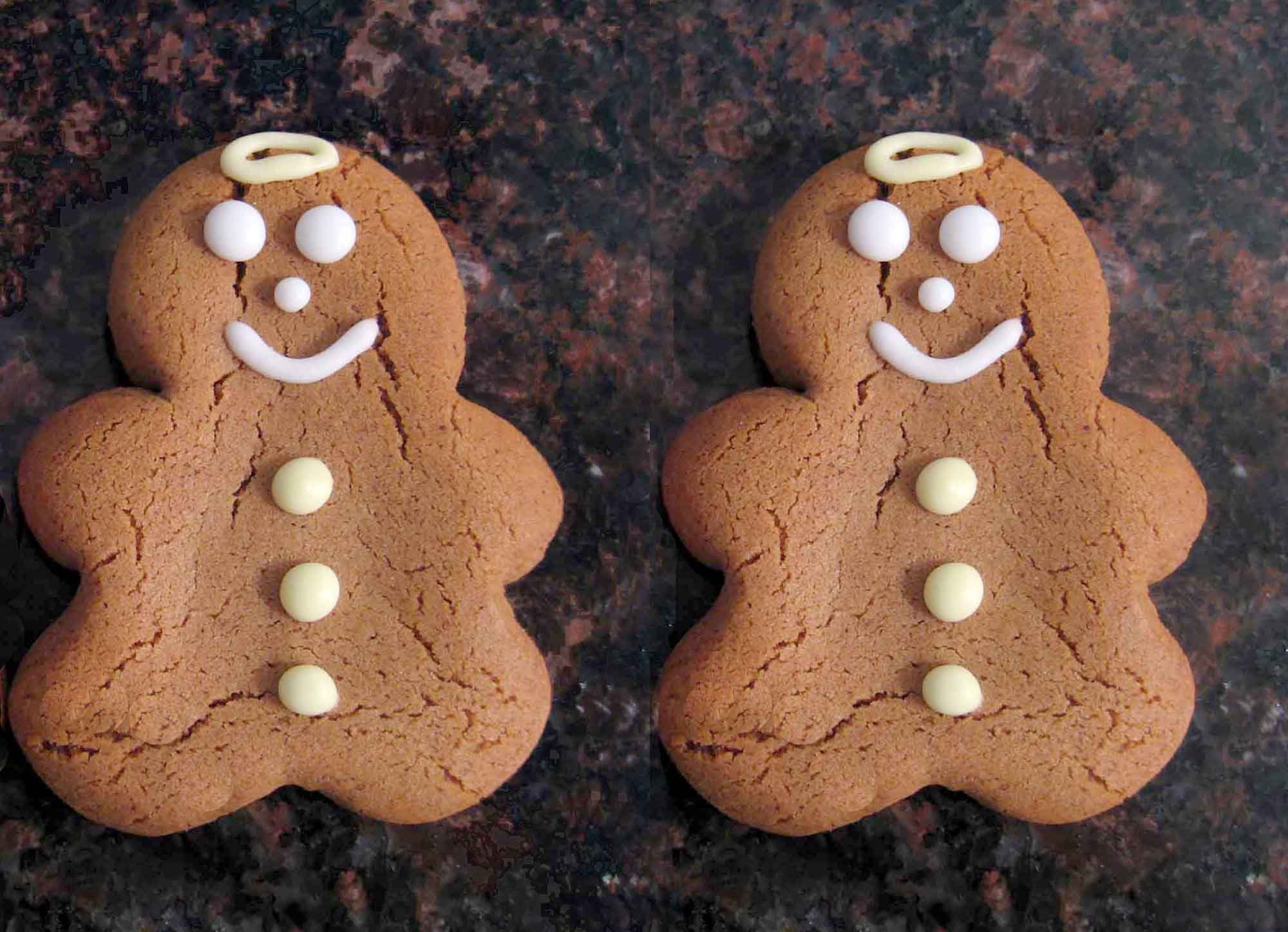 Baby Duck Ranch Gingerbread Spice for Gingerbread, Cookies, Houses ...