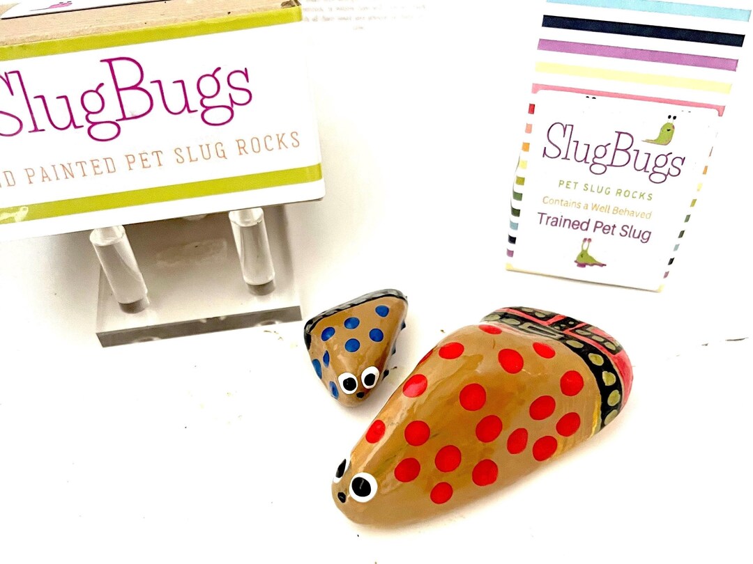 Slugbug Squarepants Spongebobs Brother Pet Slug Rock W/baby Pet Rock ...