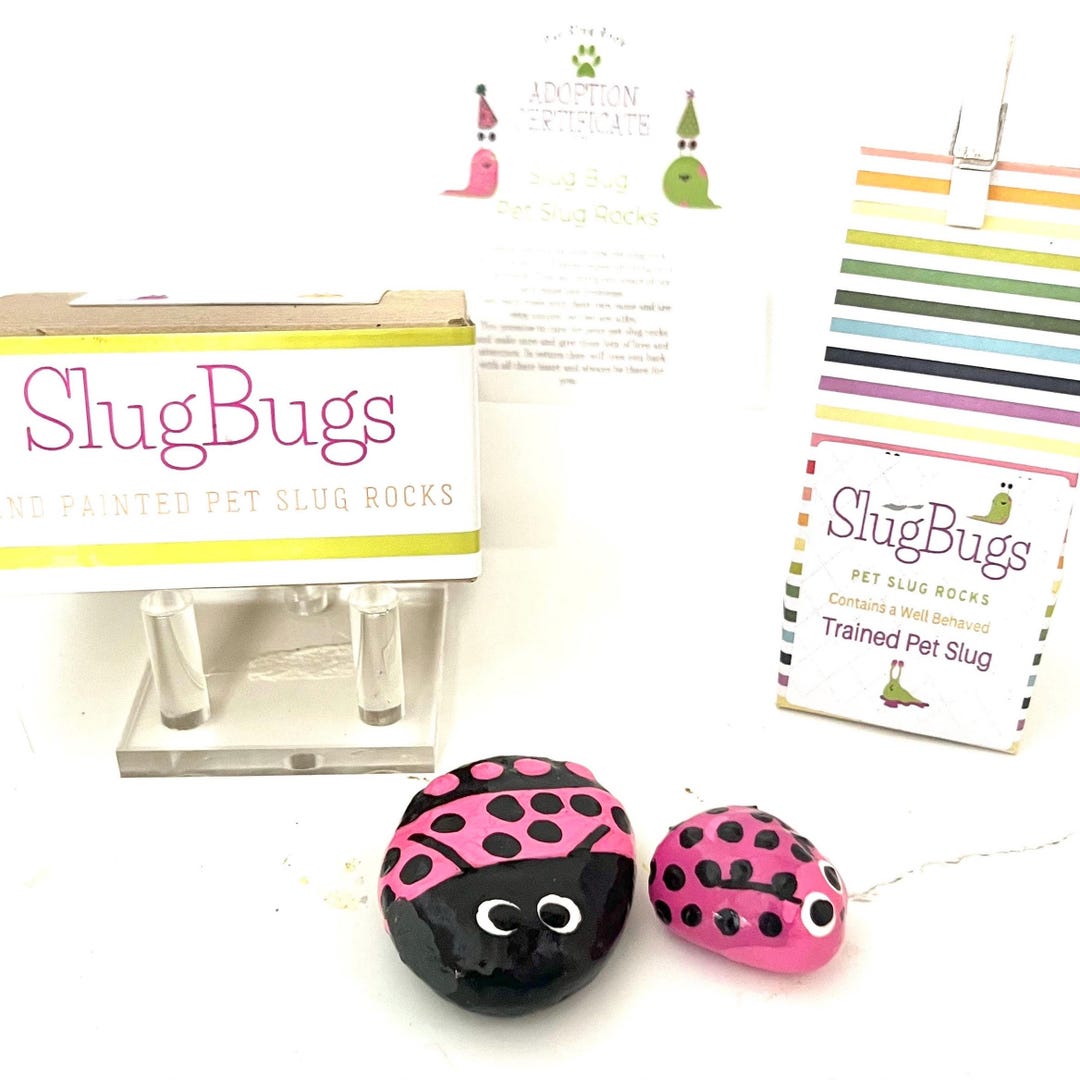Rock Pets Pet Slug Rocks Hand Painted Pet Rock Adopt A Pet Worry Stone ...