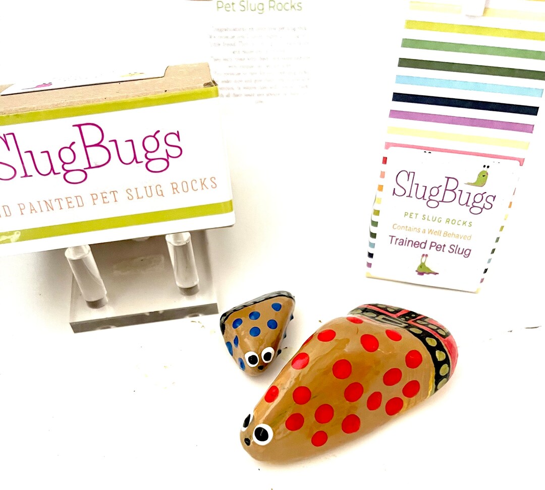 Slugbug Squarepants Pet Slug Rock W/baby Pet Rock Adopt A Pet Worry ...