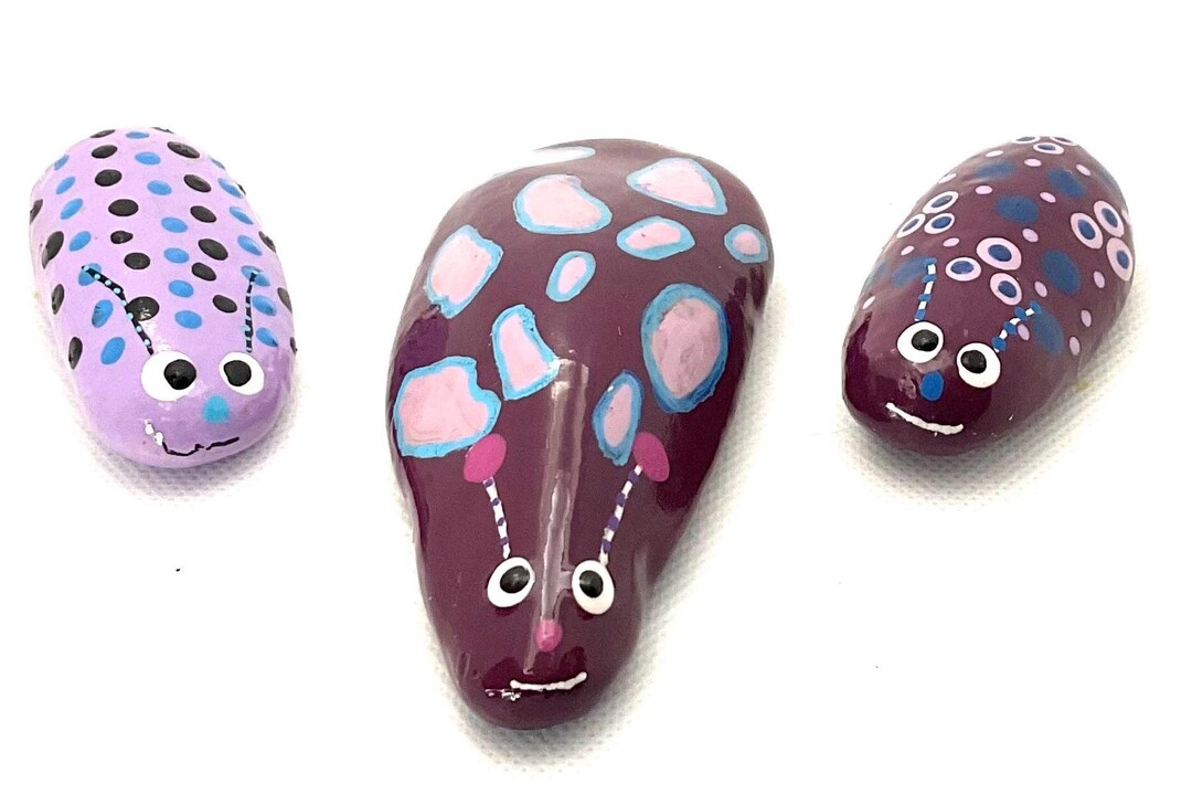 Rock Pets Pet Slug Rocks Hand Painted Pet Rock Adopt A Pet Worry Stone ...