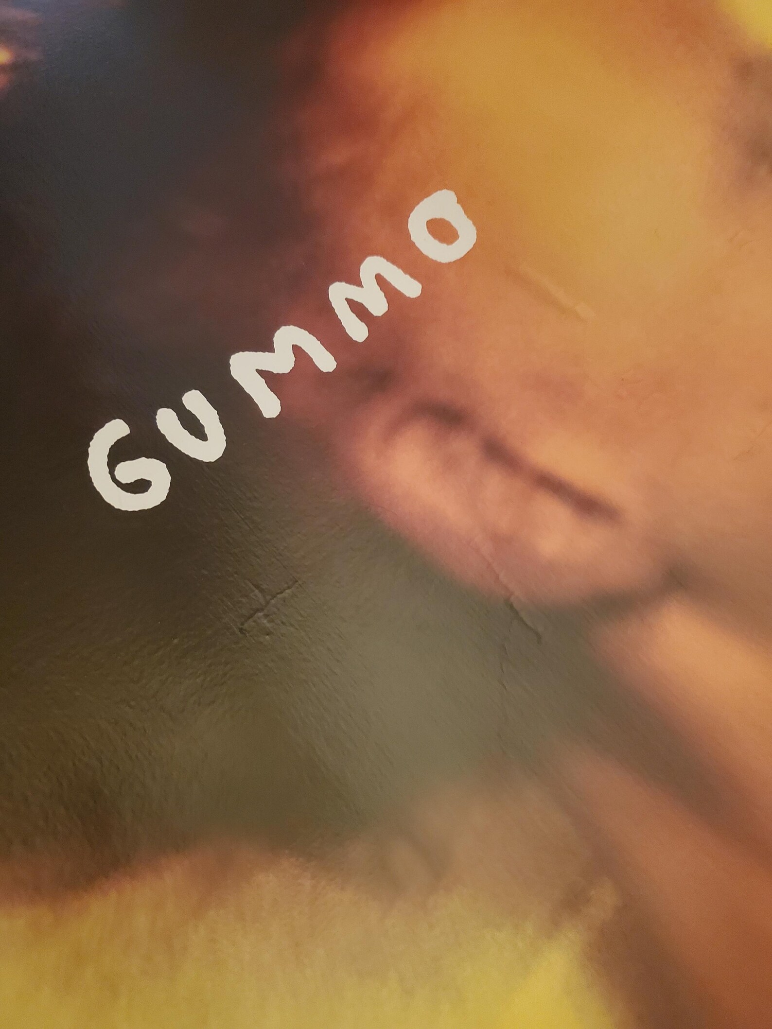 Original Linen-backed Large Gummo Poster 28x41.5 Inches - Etsy
