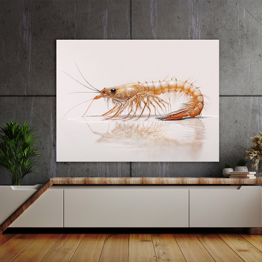 Shrimp White Background 9 Canvas | Wall Art Home Decoration Painting ...