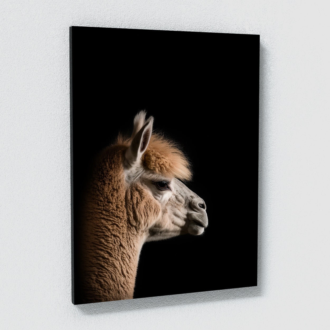 Alpaca Canvas Wall Art Decor - Etsy