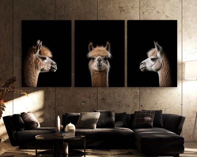 Alpaca Canvas Wall Art Decor - Etsy