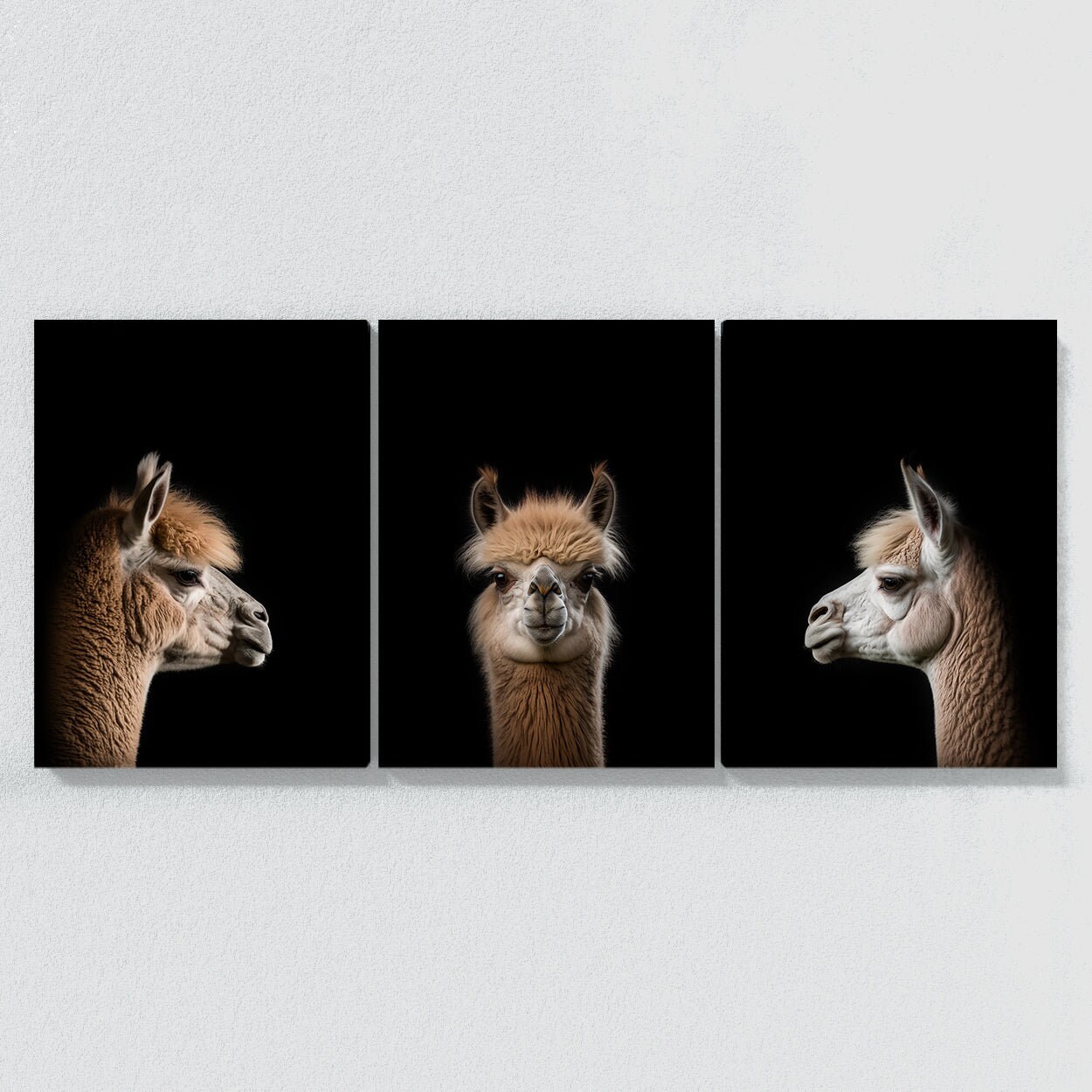Alpaca Canvas Wall Art Decor - Etsy