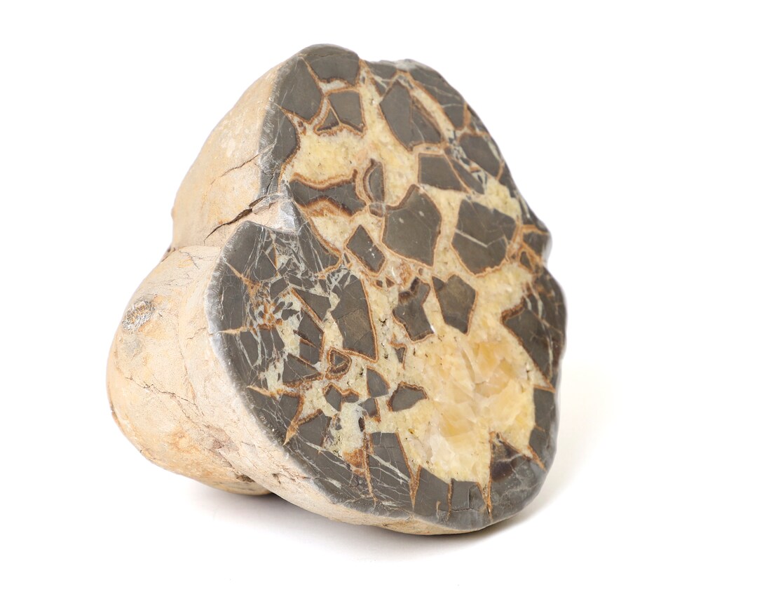 Large Septarian Nodule Half Rock, Dragon Stone Cut Geode, Natural ...