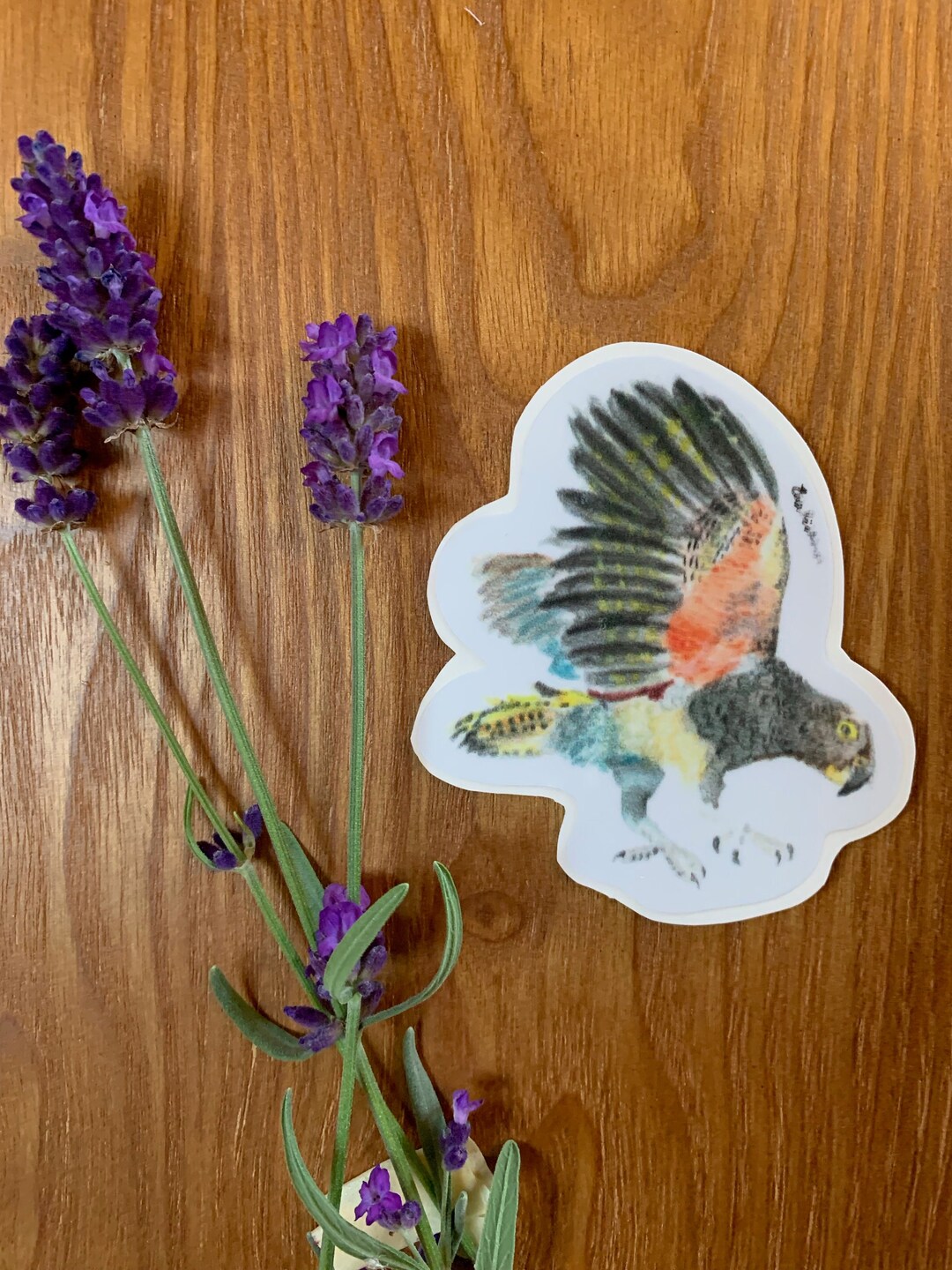 Kea Vinyl Sticker - Etsy