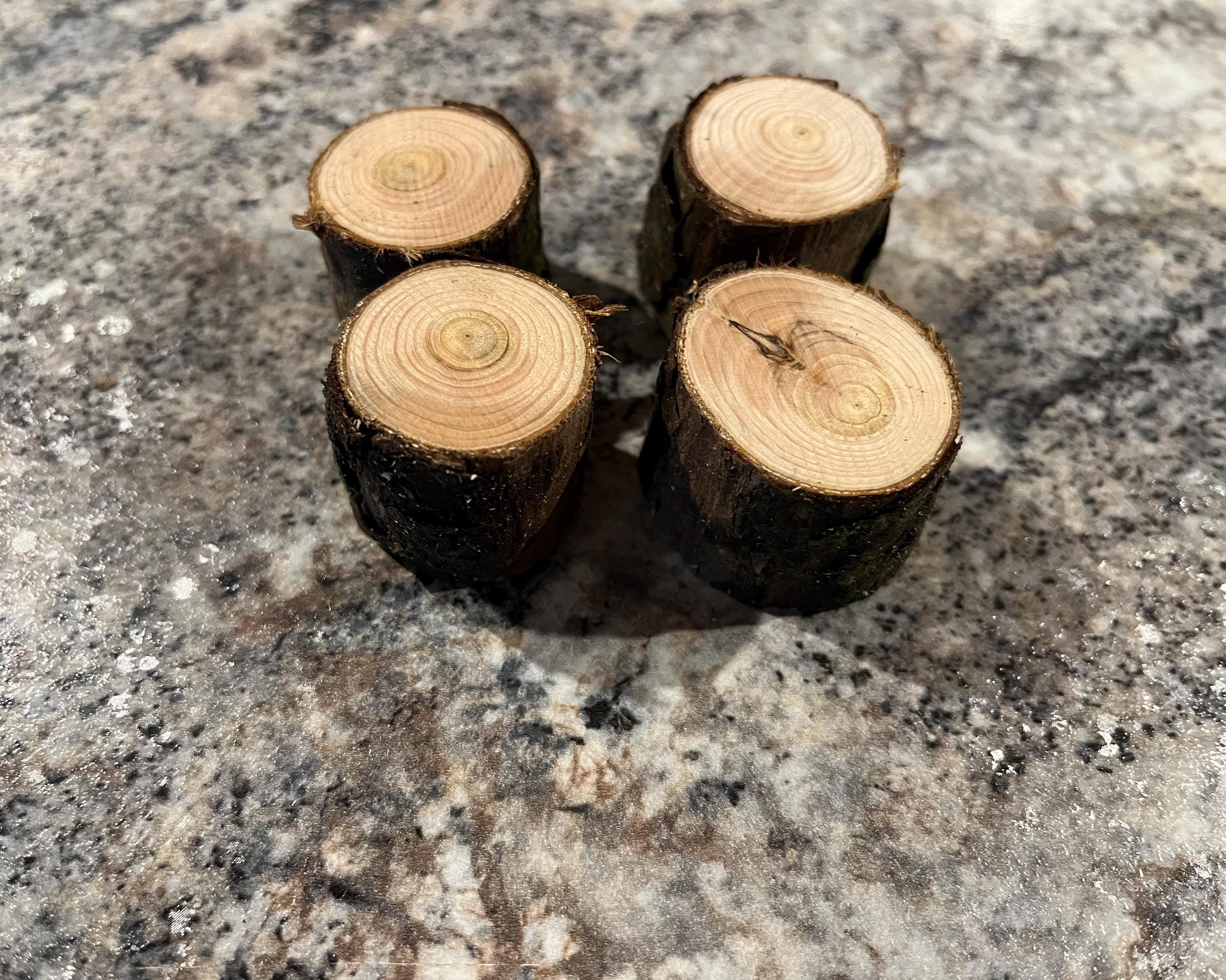 Mini Tree Stumps, Natural Wood, Fairy Garden Decor, Wedding Decor ...