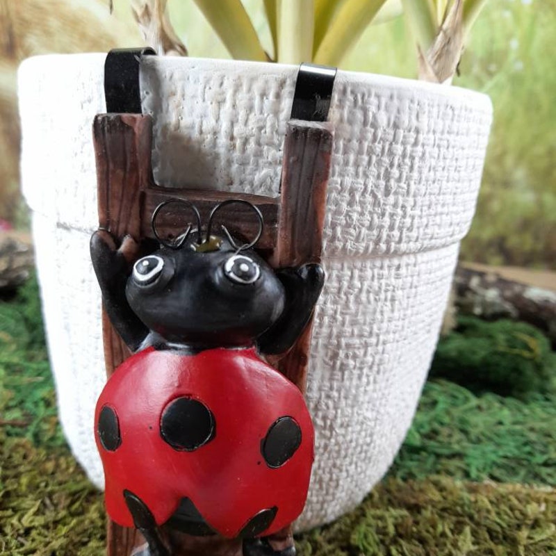 Ladybug Planter - Etsy