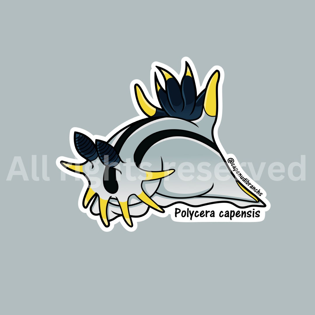 Nudibranch Sea Slug Sticker, Crowned Nudibranch Sticker, Scuba Diving ...