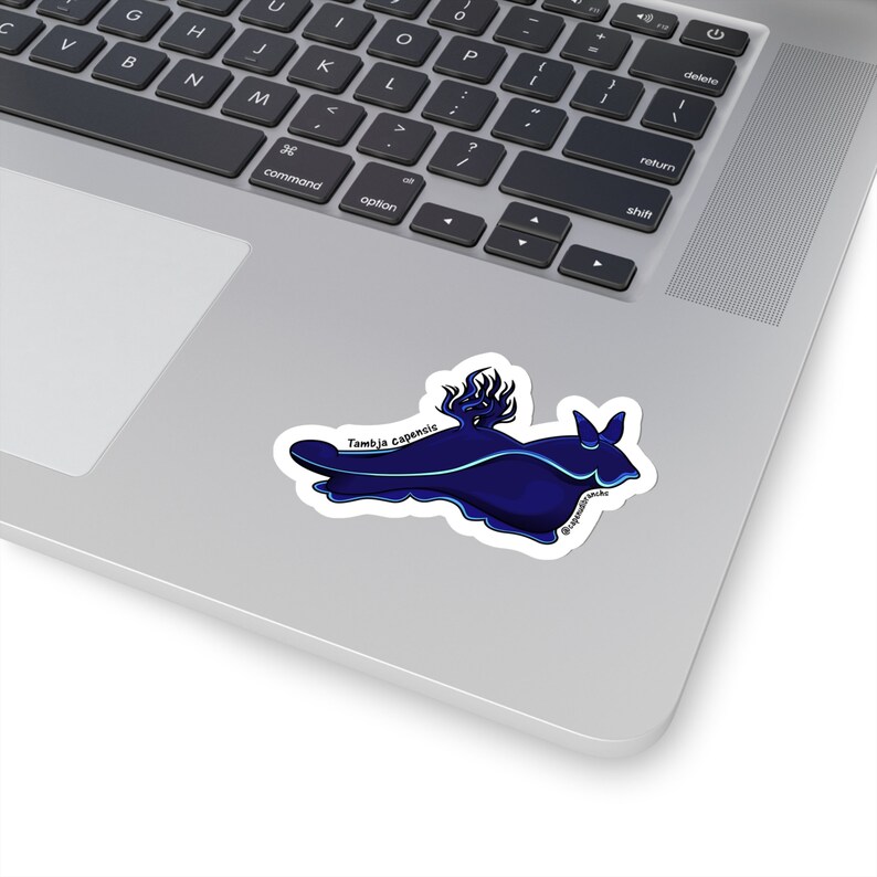 Nudibranch Sea Slug Sticker, Black Nudibranch Sticker, Scuba Diving ...