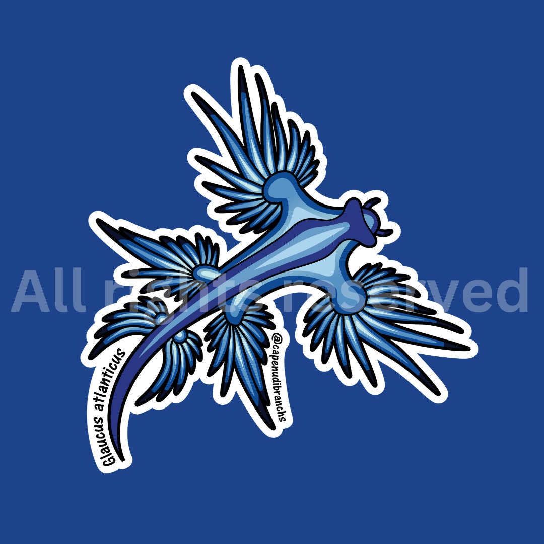 Nudibranch Sea Slug Sticker, Sea Swallow, Blue Dragon, Blue Glaucus ...