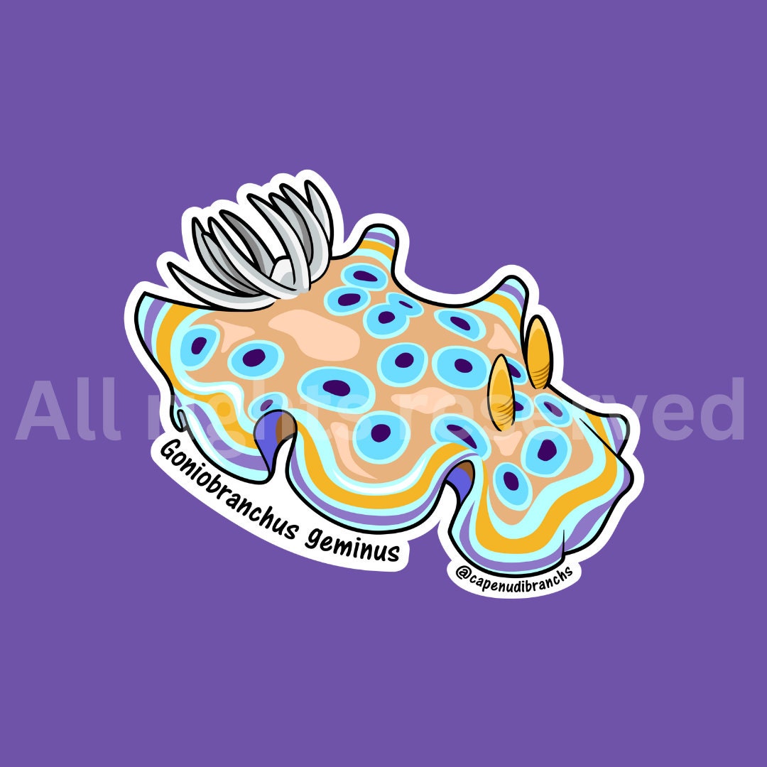 Nudibranch Sea Slug Sticker, Gem Sea Slug Sticker, Scuba Diving Sticker ...