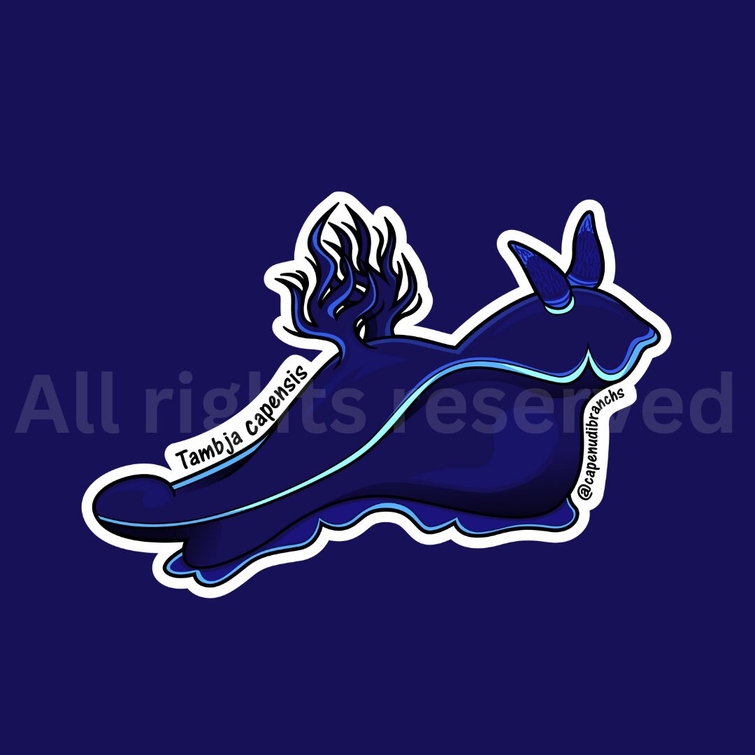 Nudibranch Sea Slug Sticker, Black Nudibranch Sticker, Scuba Diving ...
