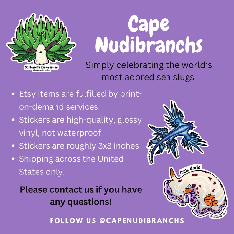 Nudibranch Sea Slug Sticker, Cape Dorid Nudibranch Sticker, Scuba ...