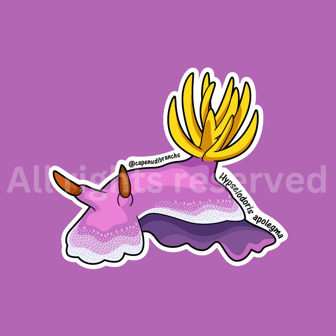 Nudibranch Sea Slug Sticker, Giant Nudibranch Sticker, Scuba Diving ...