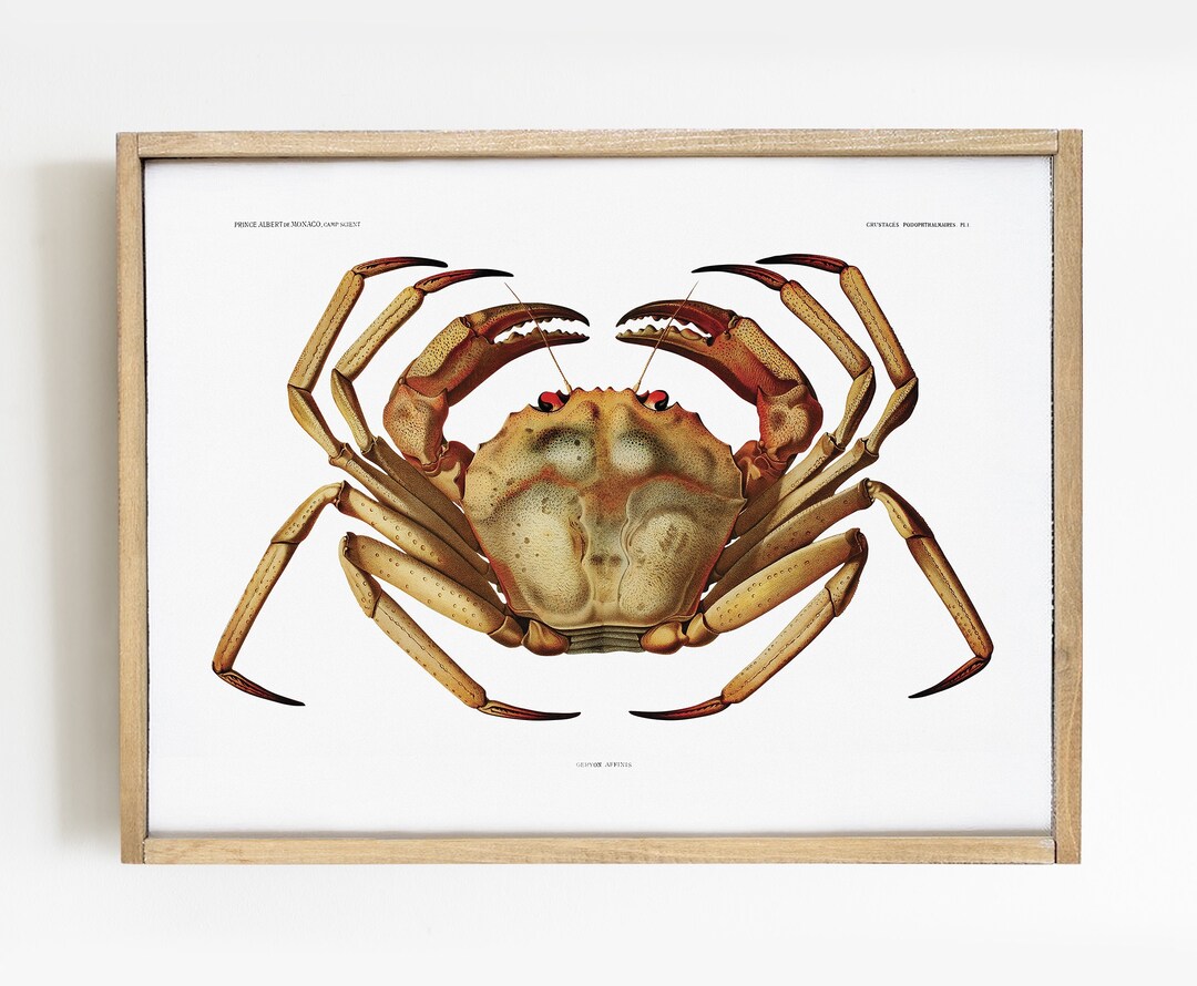 Crab Print, Red Crab Print, Ocean Art, Kitchen Decor, Nautical Poster ...