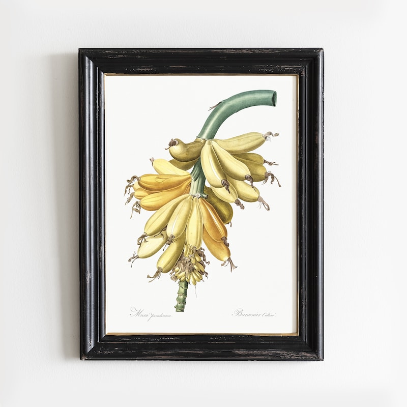 Banana Print - Etsy