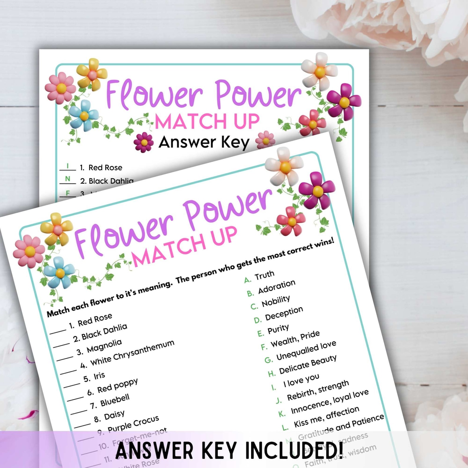 Spring Flower Power Trivia Match up | Flower Matching Game | Printable ...