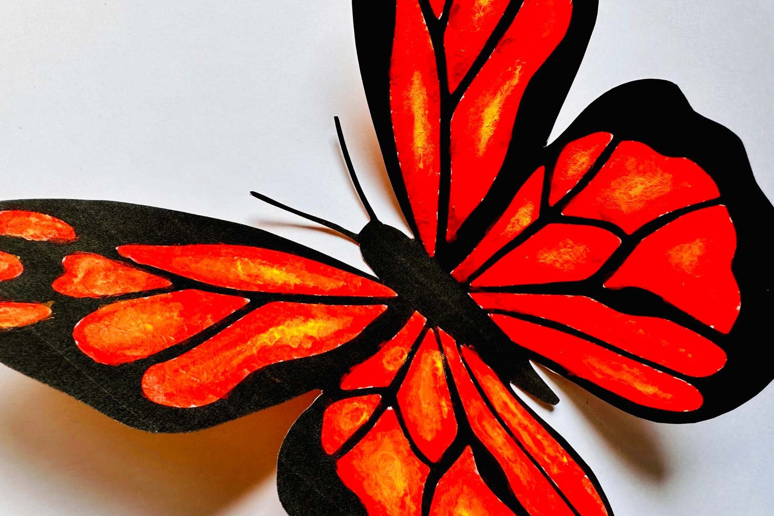 Butterfly Coloring Pages / Butterfly Coloring Pages for Kids and Adults ...