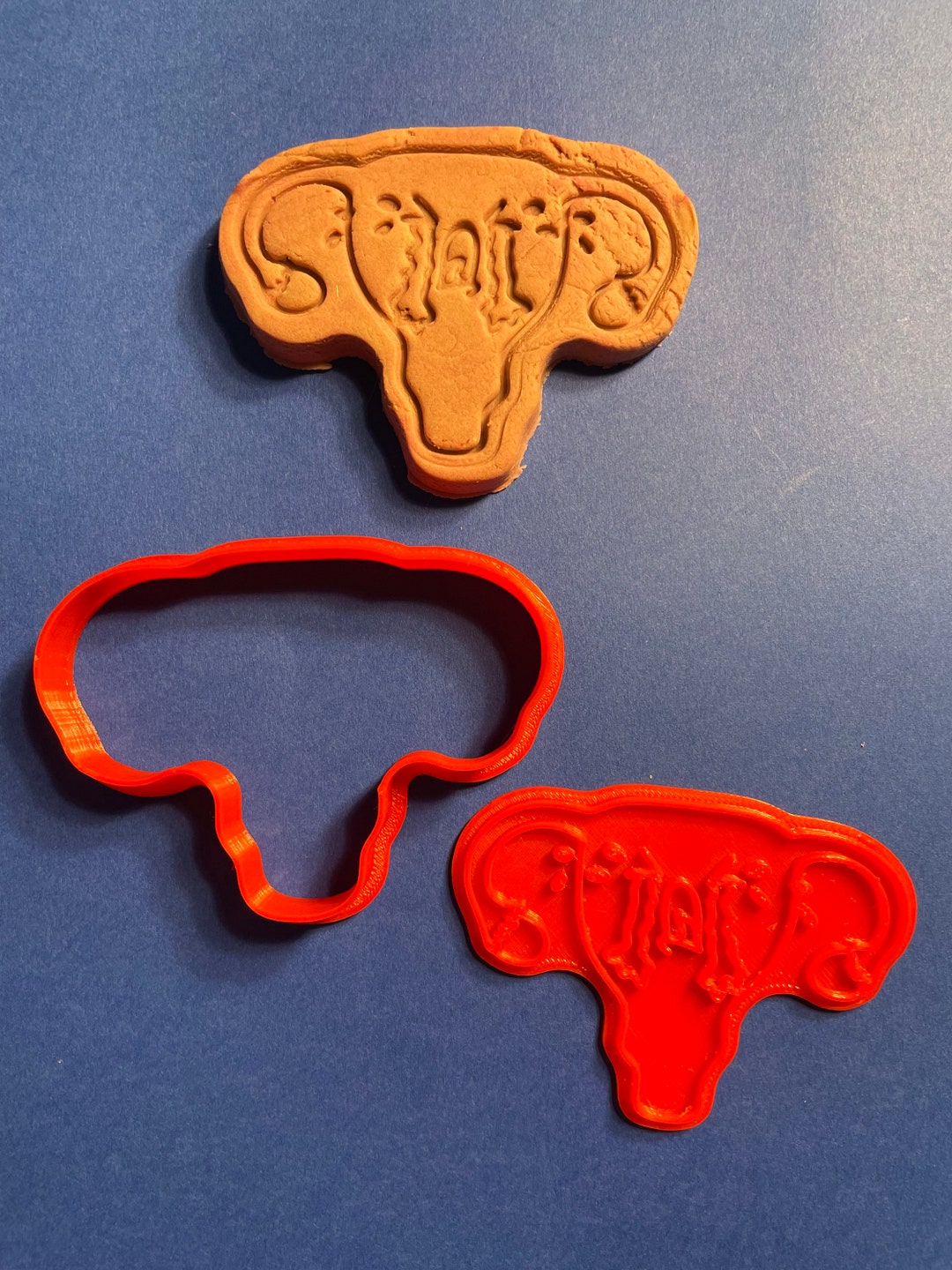 Depressed Uterus Cookie Cutter Graduation Gift Student Gift OOAK Gift ...
