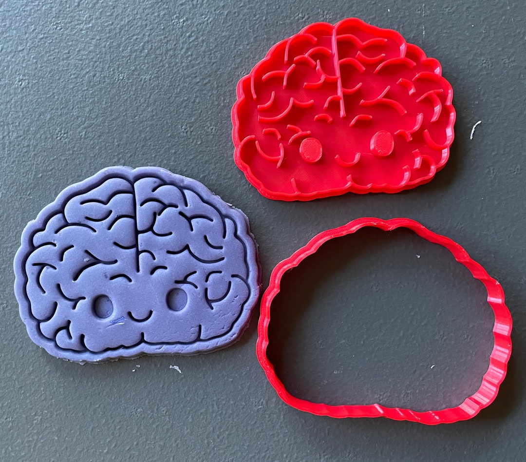 Cute Brain Cookie Cutter Graduation Gift Student Gift OOAK Gift Get ...