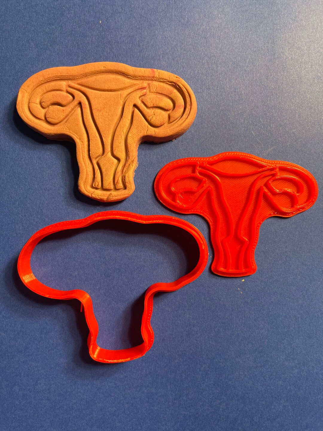 Female Uterus Cookie Cutter Graduation Gift Student Gift OOAK Gift Get ...