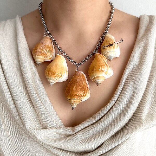 Conch Seashell - Etsy
