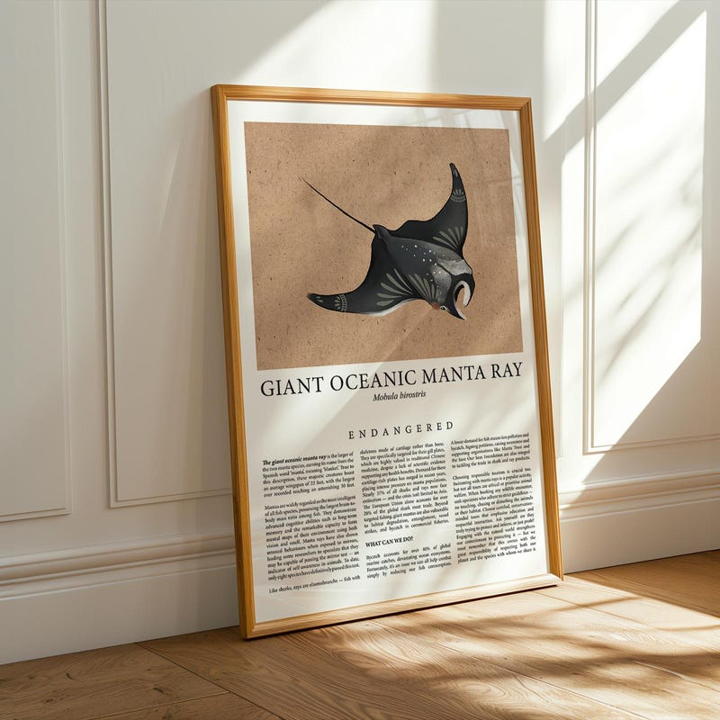 Animal Xray Poster - Etsy UK
