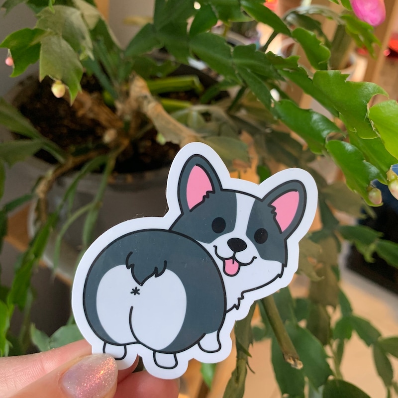 Corgi Butt Sticker - Etsy