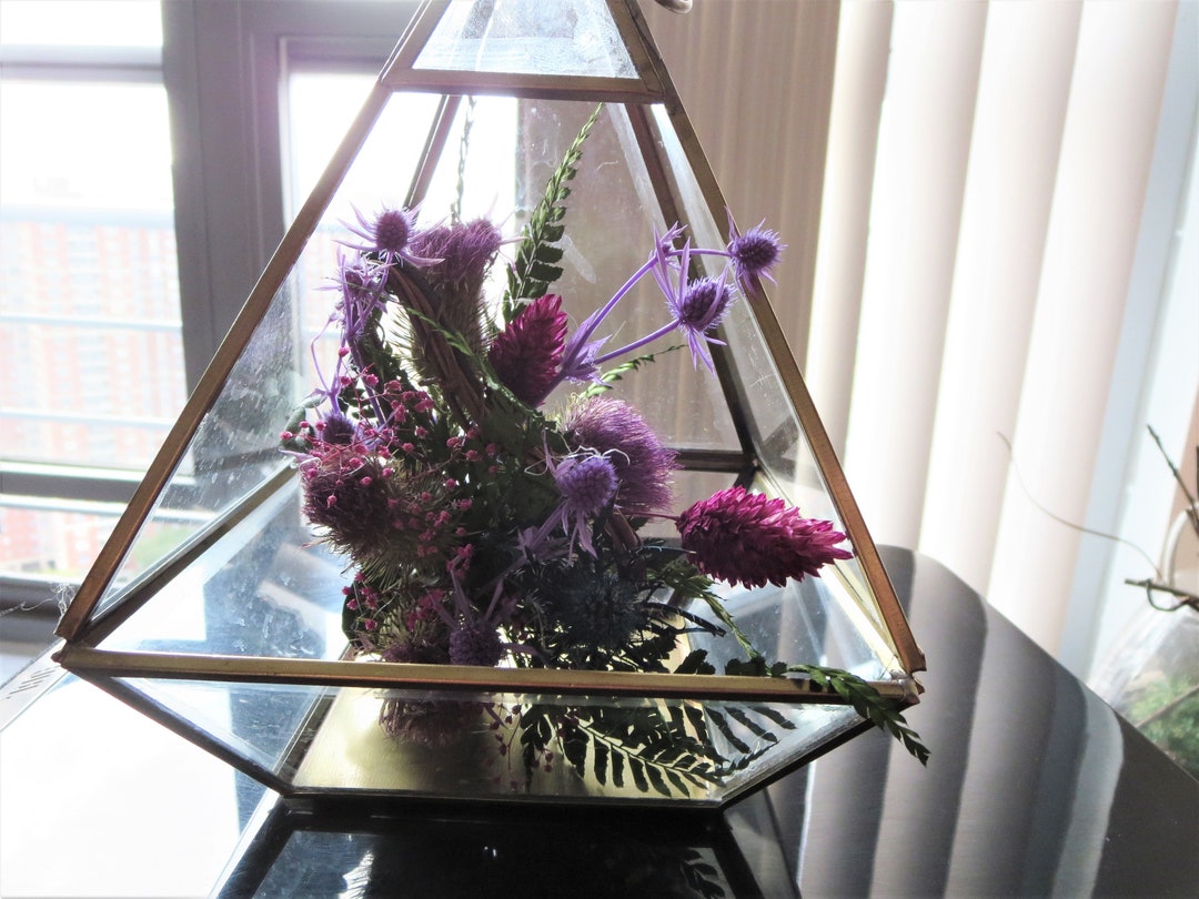 Thistle Flower Arrangement Dried Thistle Décor Real Thistle Terrarium ...