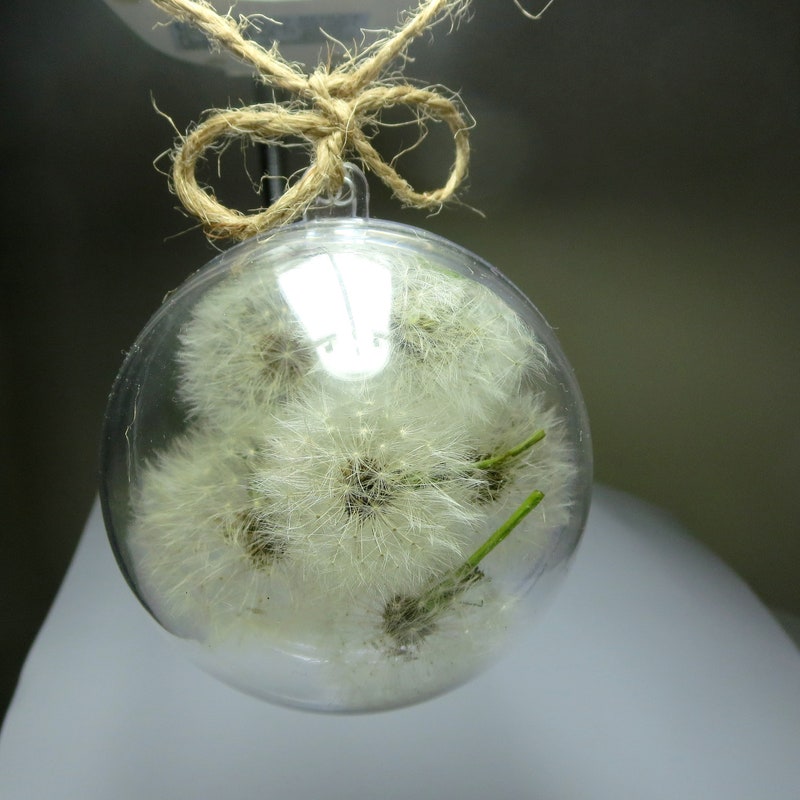 Dandelion Decor - Etsy