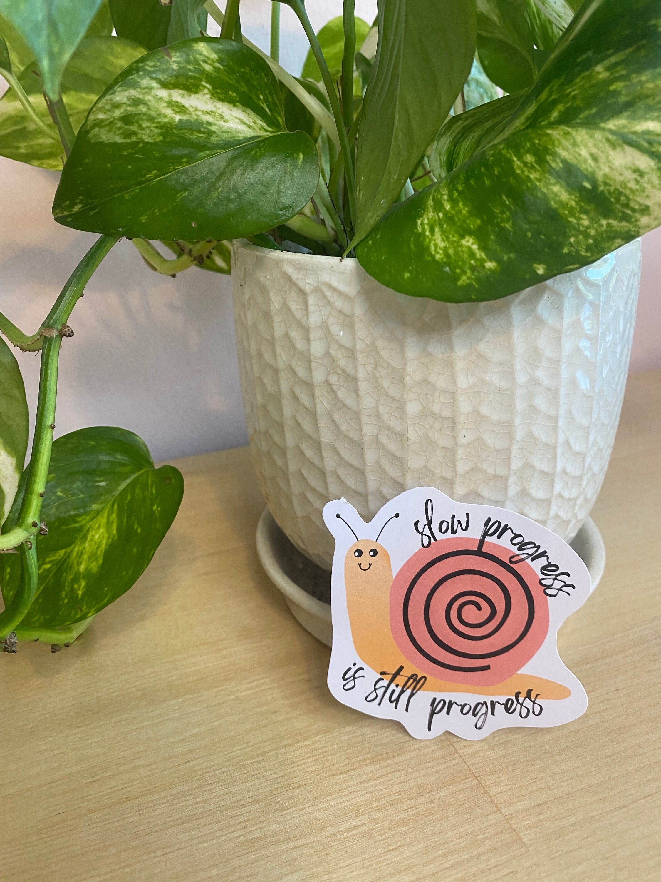 Motivational Snail Sticker Slow Progress is Still Progress - Etsy