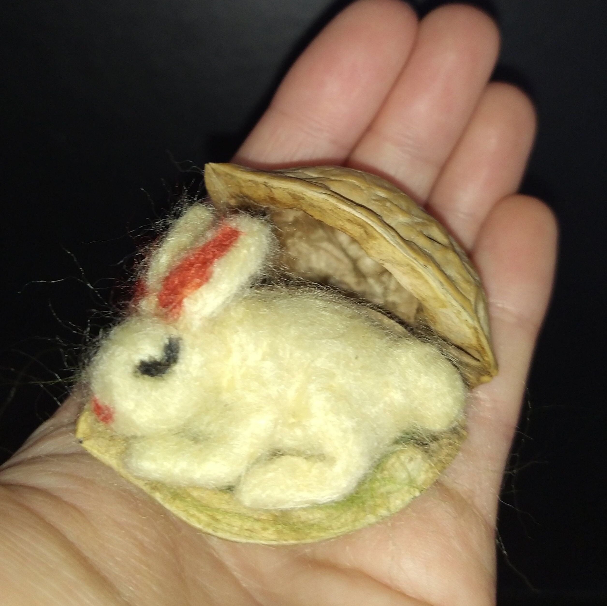 Needle Felted Rabbit in a Walnut Shell|curled up Sleepy Rabbit|walnut ...