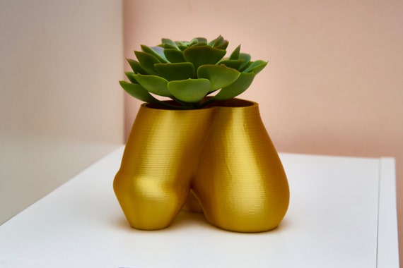 Penis Shaped Planter Dick Planter for Succulents Perfect - Etsy